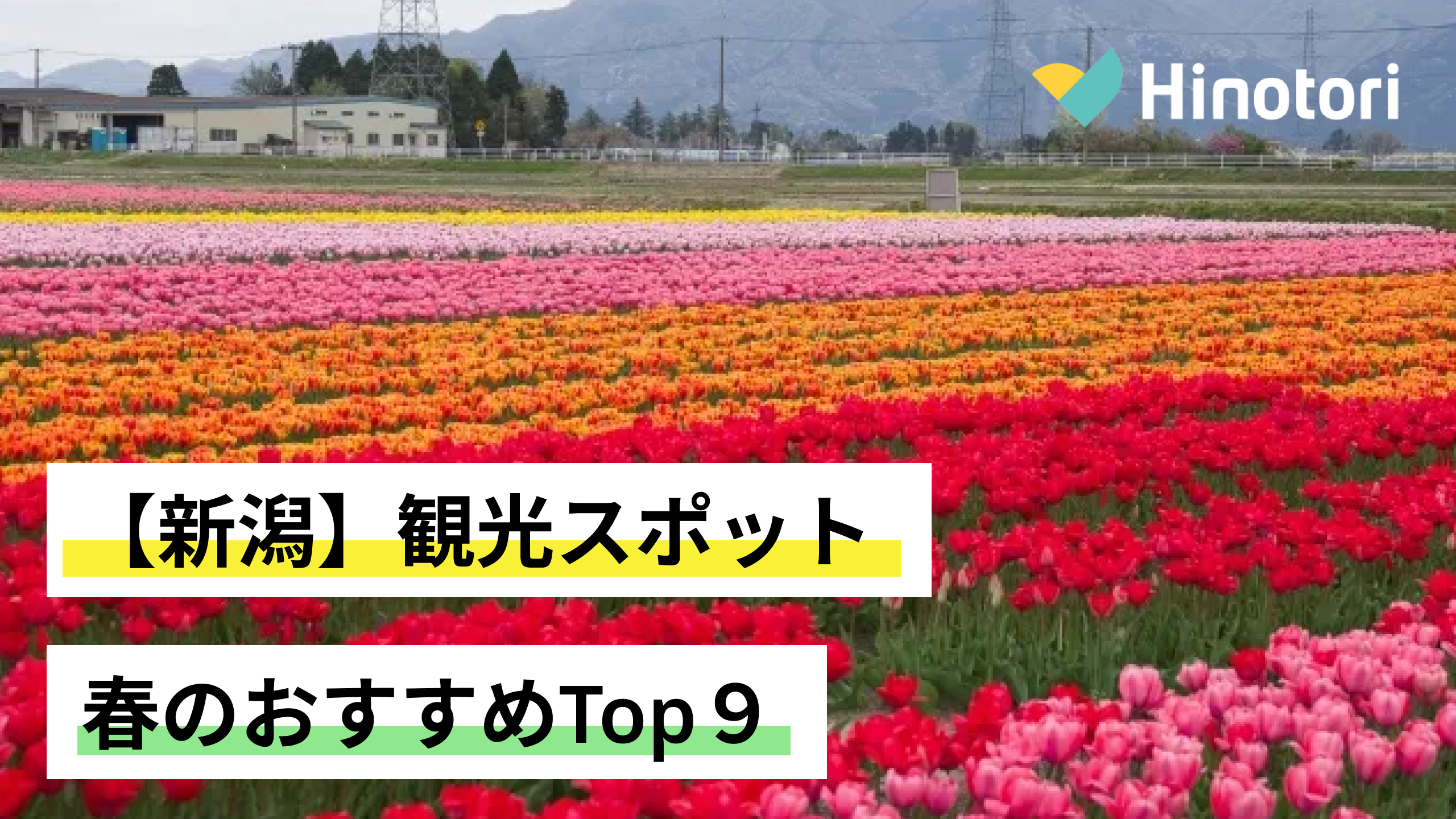 【新潟】観光スポット春のおすすめTop9！子連れ旅行にも ｜Hinotori